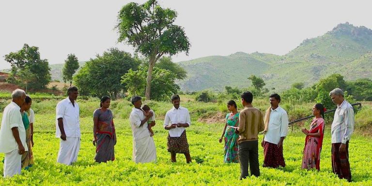 How Collective Farming Can Help Solve the Agrarian Crisis