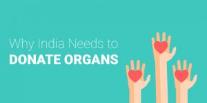 In Numbers: The Status Of Organ Donation In India | Infographics