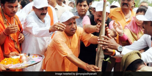 Van Mahotsav Special: Uttar Pradesh Aims To Plant 9 Crore Saplings In ...