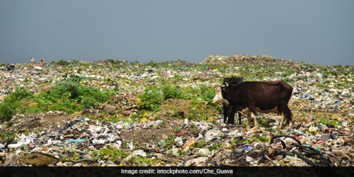 Allot Land For Garbage Dumping Ground In 2 Months: High Court To ...