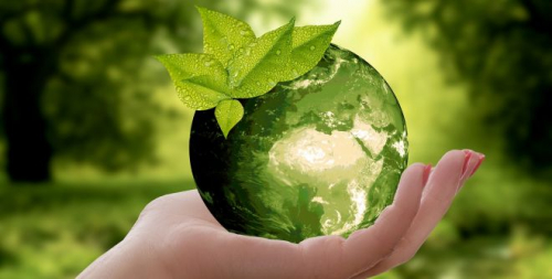 Freedom From Pollution: Top 5 Ways How Offices In India Can Reduce ...