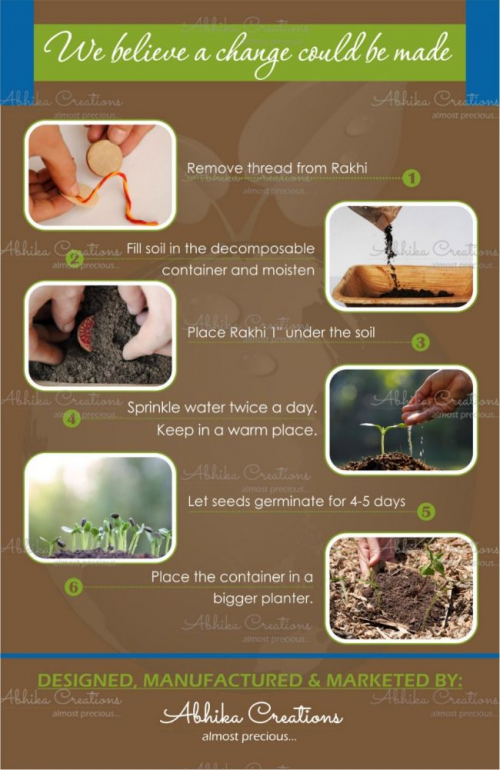 Make A Green Choice This Raksha Bandhan, Opt For Rakhis That Turn Into ...