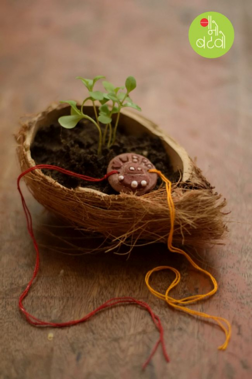 Make A Green Choice This Raksha Bandhan, Opt For Rakhis That Turn Into ...