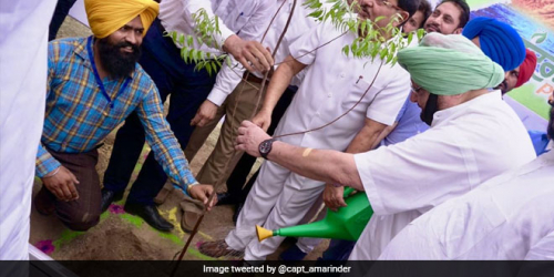 Punjab To Plant 550 Trees In Every Village To Mark 550th Birth ...