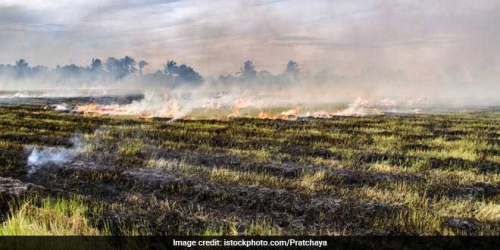 Stubble Burning: Punjab Expects 70 Per Cent Drop In Stubble Fires This Season, Says Official | News