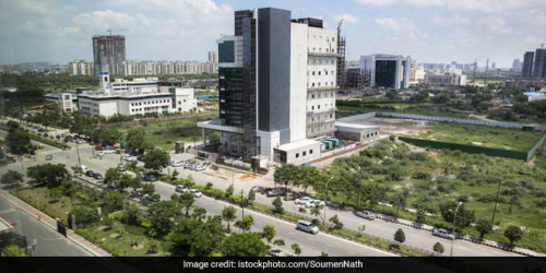 With 1.7 Lakh Plantations, Noida Betters Own Single-Day Record Of ...