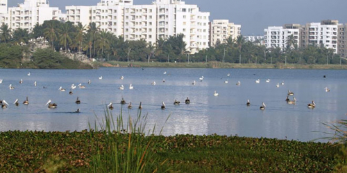 Once Infamous As A Littering Spot, Bengaluru’s Jakkur Lake Is Now Known ...