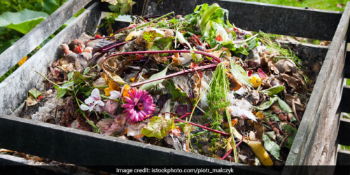 Waste Management: Meerut Jail To Convert Waste Into Manure | News