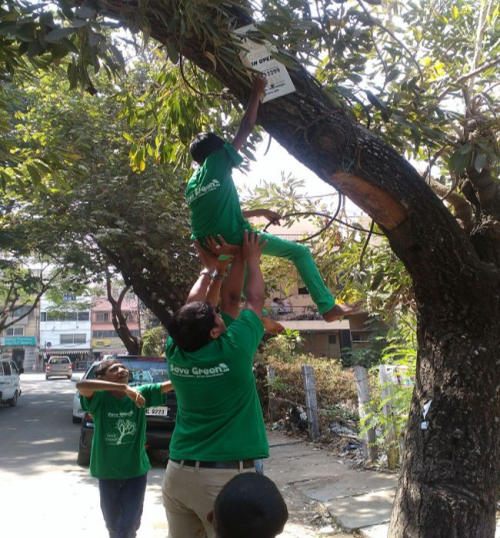 A Group Of Citizens In Bengaluru Are Saving Trees From Human Invasion ...
