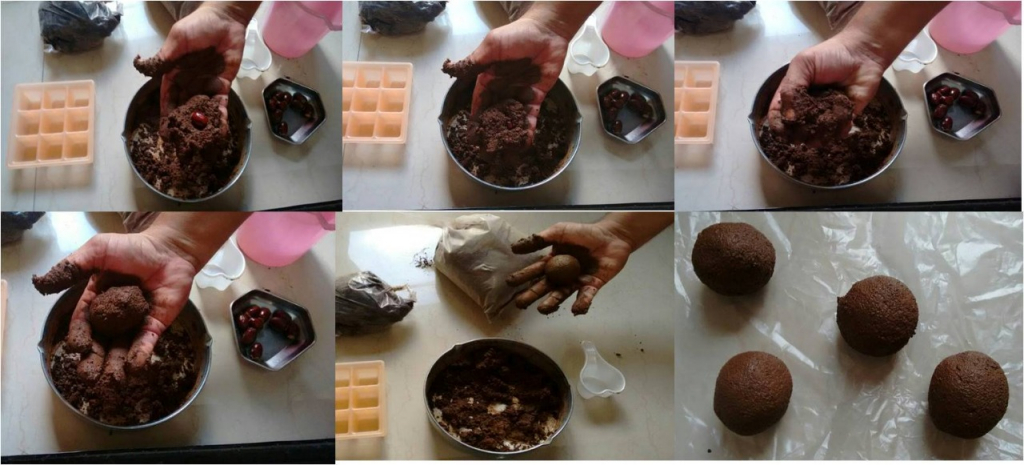 Welcome 2019 With These ‘Do It Yourself’ Seed Bombs To Grow More Trees ...