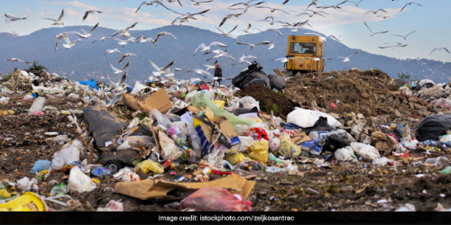Fighting Mountains Of Garbage: Here Is How Indian Cities Dealt With ...