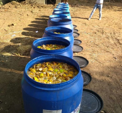 Citrus Fruit Waste To Keep Public Toilets Clean In Jamshedpur | Features