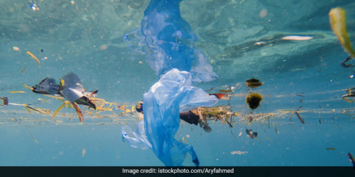 US Scientists Develop New Recycling Process To Reduce Plastic Waste ...