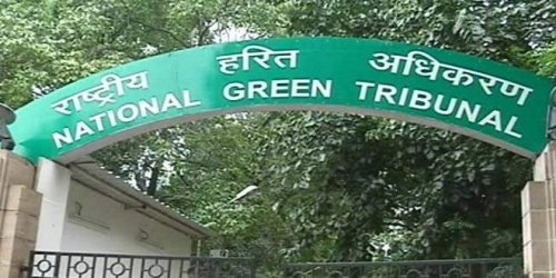 National Green Tribunal Raps Delhi Pollution Control Committee Over Air ...
