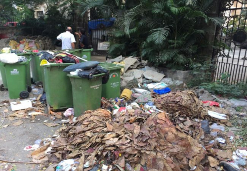 Nine More Decentralised Waste Management Plants In Delhi | News