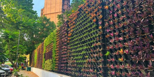 No More Dumping Of Waste At Versova’s Mangroves As They Get Bio-Fences ...