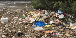 As Panaji Municipal Corporation Refuses To Treat Waste, Garbage Crisis ...