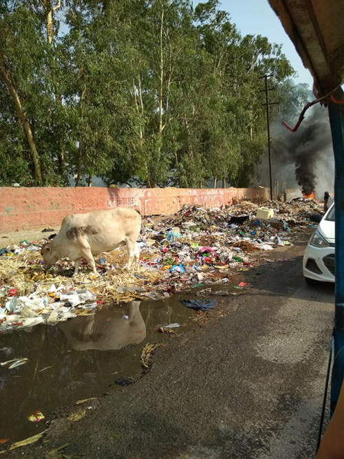 Garbage Collection In A Mess In Uttar Pradesh’s Ghaziabad As A Decade ...