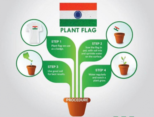Flags That Grow Into Plants, This Independence Day # ...