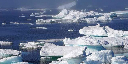 Plastic Menace: 'Punch In The Gut' As Scientists Find Micro Plastic In ...