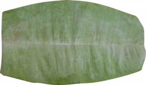 Replacing Single-Use Plastic, One Leaf At A Time: This 20-Year-Old’s ...