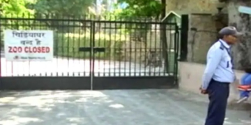 Coronavirus: Zoos Face Severe Hardships In Arranging Food, Water For ...