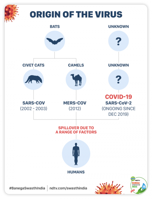 Origins Of COVID-19 Is Still A Critical Missing Piece Of The Pandemic ...