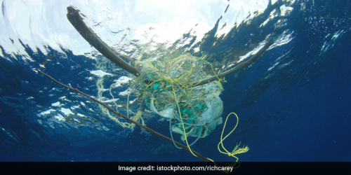 Plastic Pollution From Fishing Nets Threatening Ganges Wildlife, Study ...