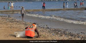 India Committed To Protect 30% Of World's Land And Ocean By 2030: Earth ...