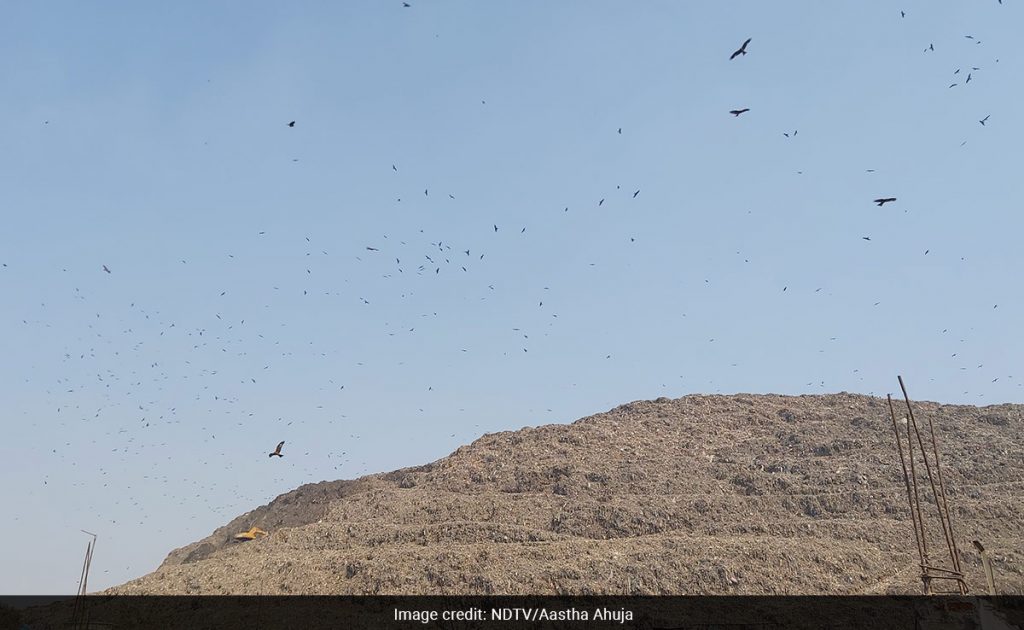 Delhi's Garbage Mountains: Affecting Lives And Livelihoods | Features