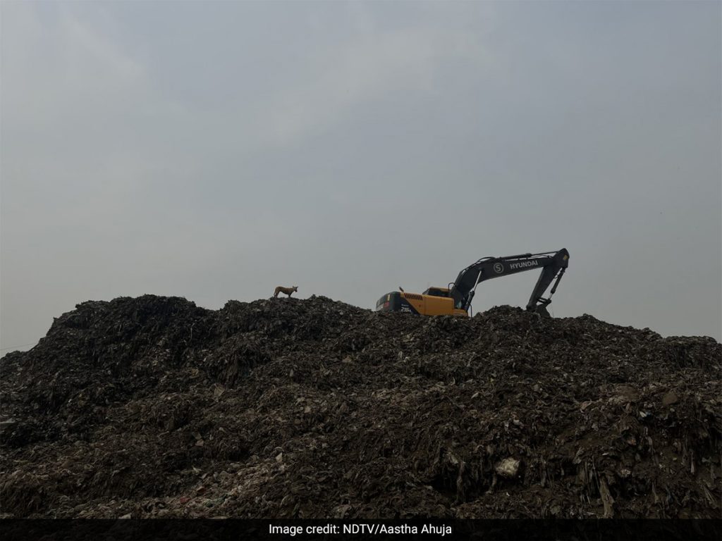 Waste Management: The Human And Health Cost Of Delhi's Garbage ...