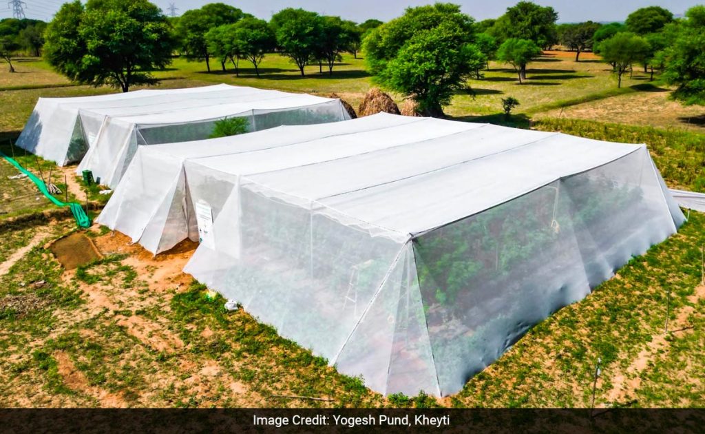 Less Water, More Yield: Earthshot Prize Winning ‘Greenhouse-In-A-Box ...