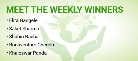weekly winner 3 - Green Champion