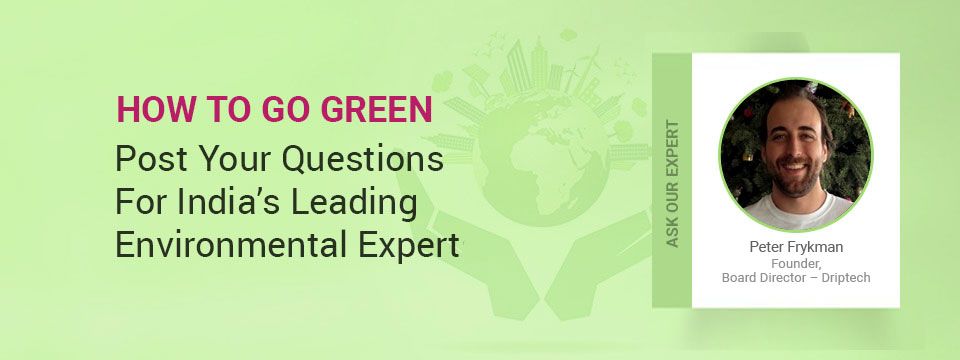 green champion expert Peter Frykman - Green Champion